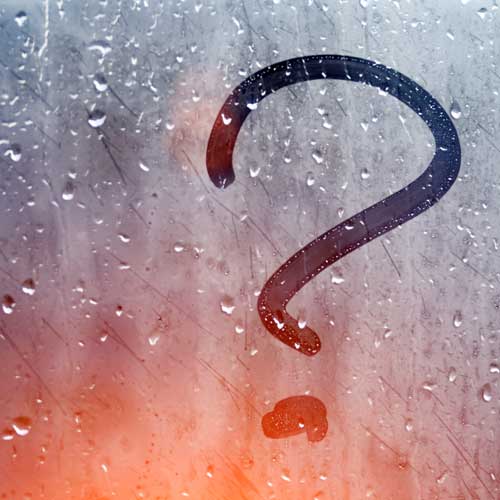 Lexikin Videos | Practical How-To Tutorials On Video