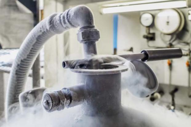 Funeral Burial Alternatives | 23 Ultimate Ways To Be Buried